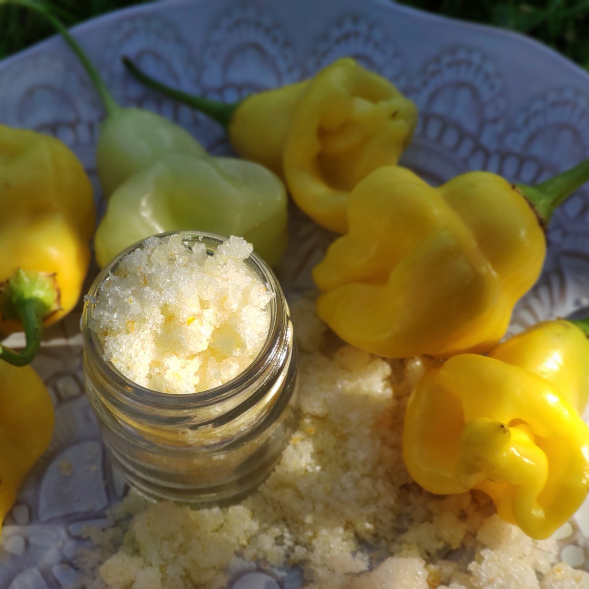 Tips, vad göra med chiliskörden – Odlingslycka